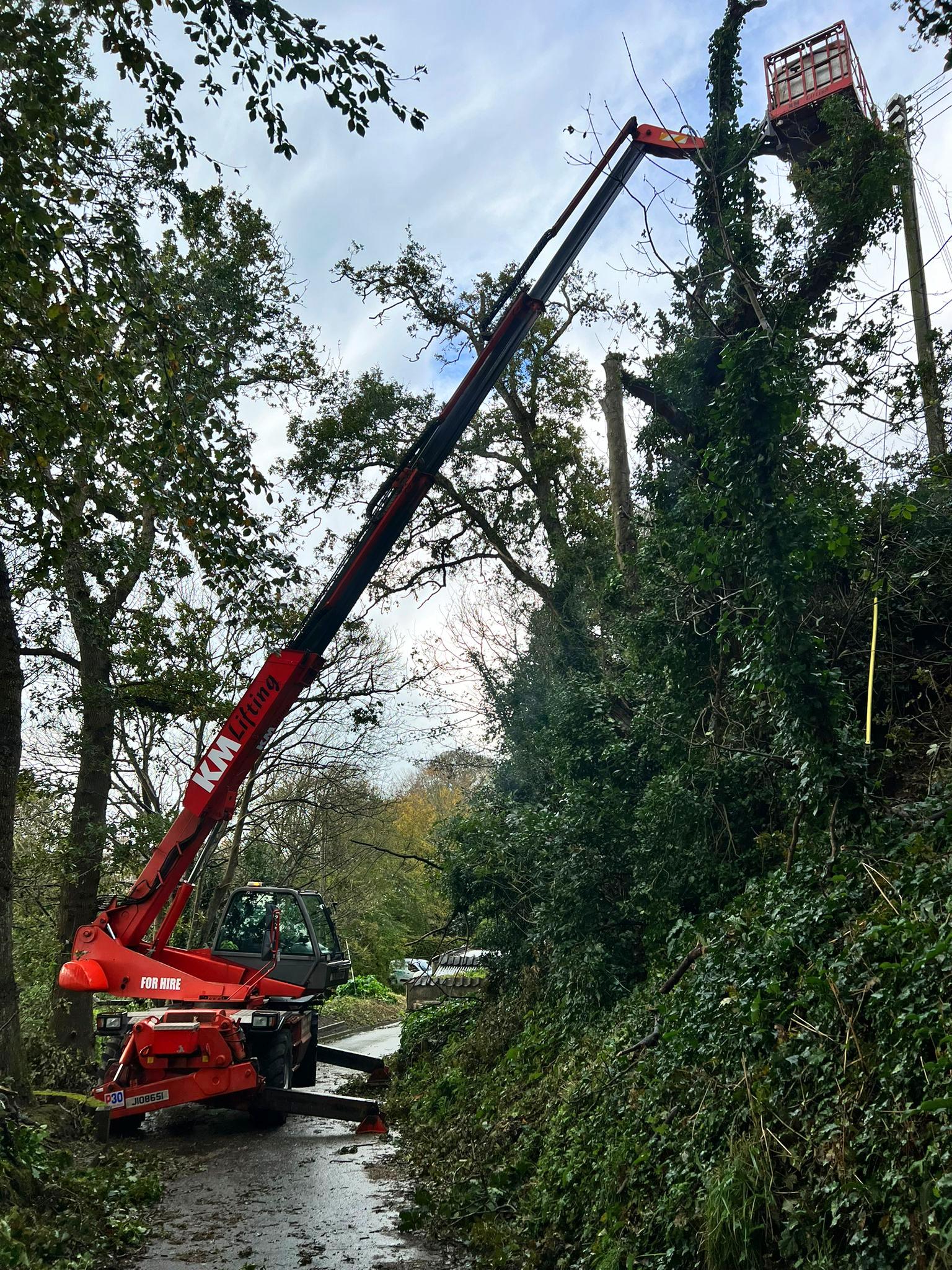 5pm Tuesday 7 November Update: Power Restoration Making Progress ...